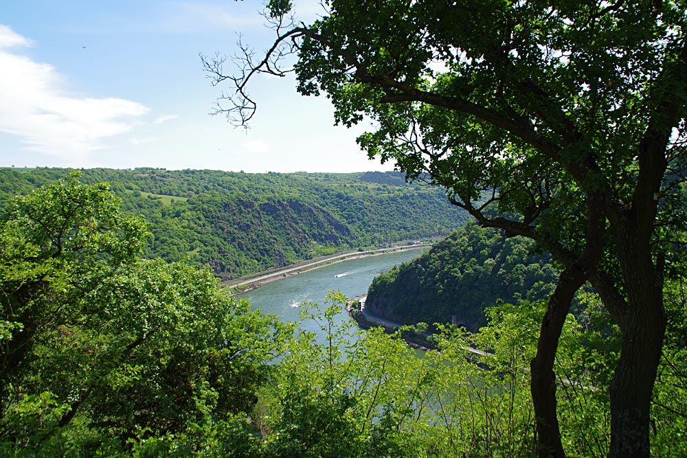 Führungen auf der Loreley - Tempus Rhenus